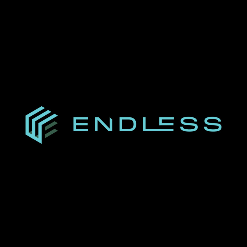 Endless Support Launch of EVO Foundation - Endless LLP